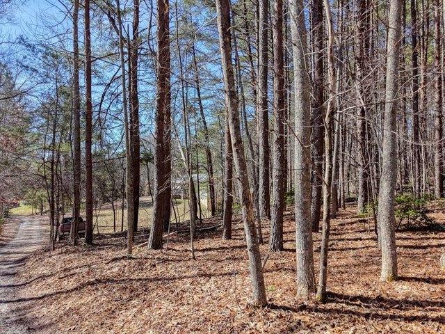 3.07 Acr Sunset Dr, Blairsville, GA 30512