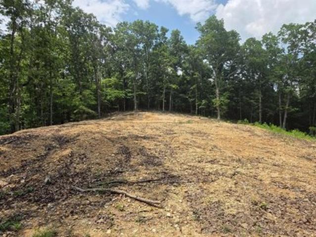 3 08AC Red Oak Dr, Valley Head, AL 35989