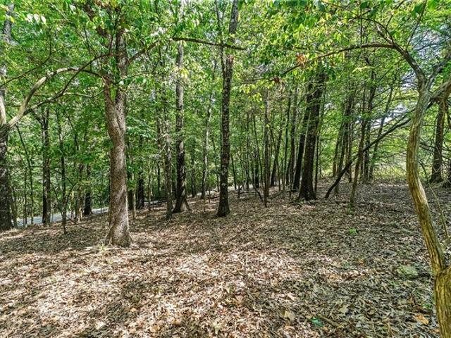 3.15 Acres War Eagle Blacktop Rd Lot 1, Springdale, AR 72764