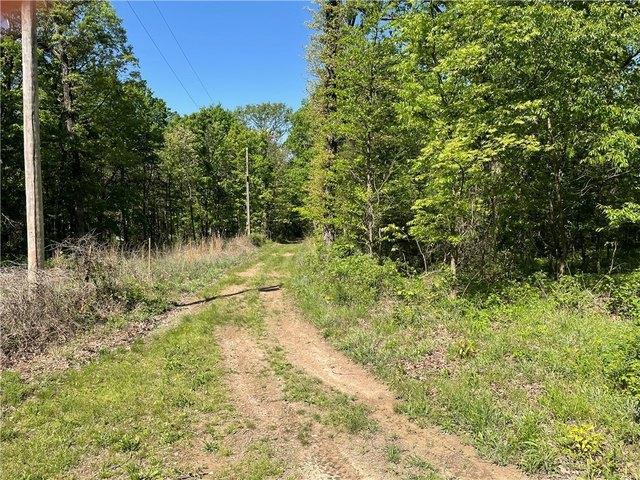 3 16AC S Pleasant Valley Rd, Gentry, AR 72734