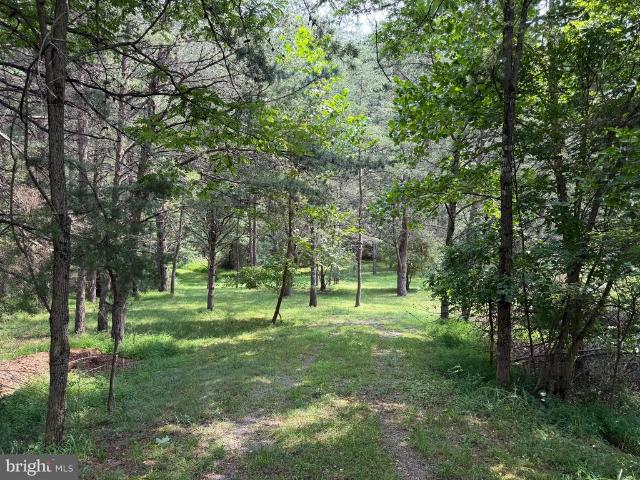 3.12 AC Lot 2 Upper Skaggs Run Rd