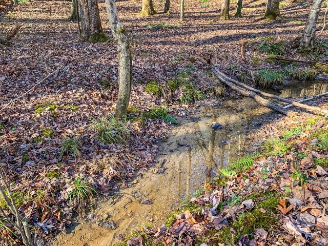 3.12 acr Eric Ln, Ellijay, GA 30536 | MLS #424798