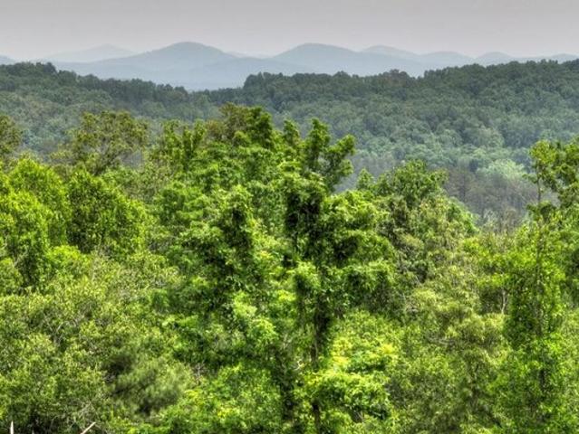 3.20 Ac Hidden Acres, Blue Ridge, GA 30513