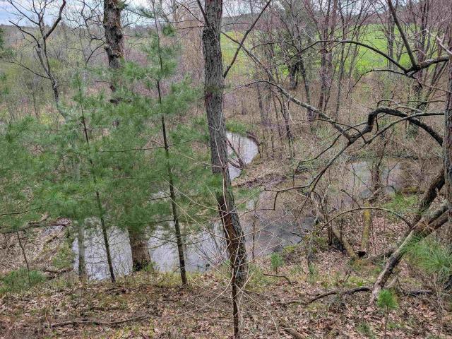 3.2 AC Fern Avenue