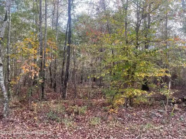3.2 ACRES SESSIONS, DADEVILLE, AL 36853