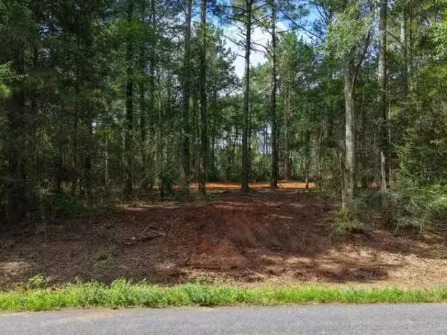 3.34+/ LOT 3 A E DOGWOOD TRAIL, COFFEE SPRINGS, AL 36318