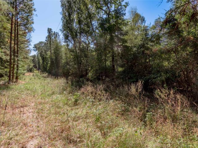 3.38 +/ Acres Arrowhead Drive