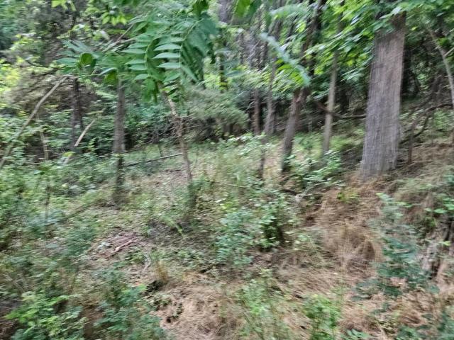 3.39 acres mossy creek rd