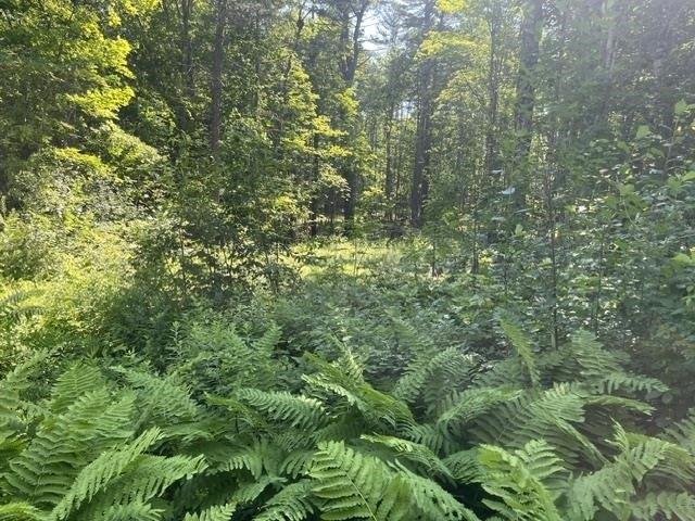 3.3 Bean Rd, Plainfield, NH 03781