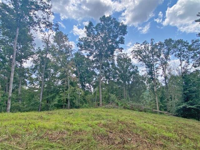 3.3ac Trillium Trail