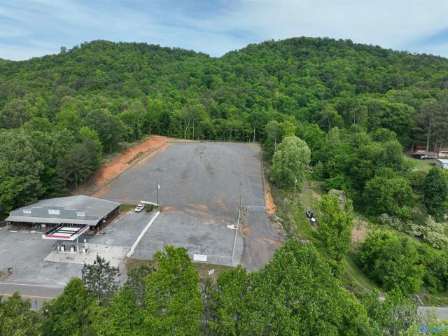 3.48 acres Alabama Highway 227