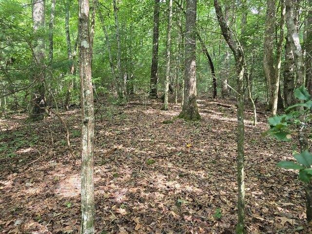 3.59 Ac Swallows Creek Rd, Hiawassee, GA 30546