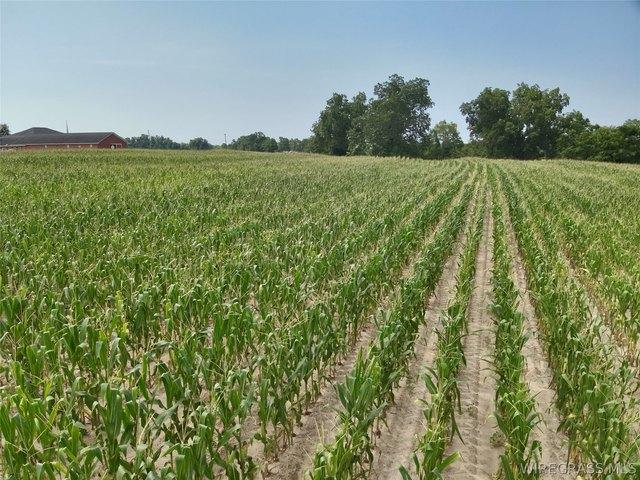 3.5 Acres Liberty Rd, AL 36370