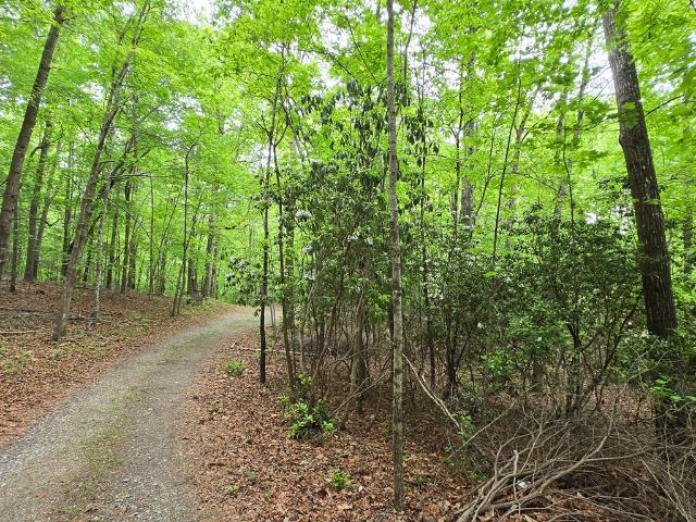 3.5ACRE Dusty Trail
