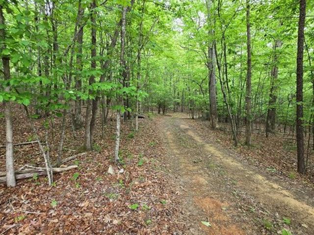 3 5acre Dusty Trl, Morganton, GA 30560