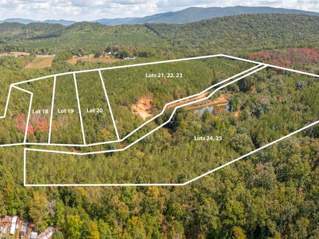 3.69 acres forest edge lane # 18