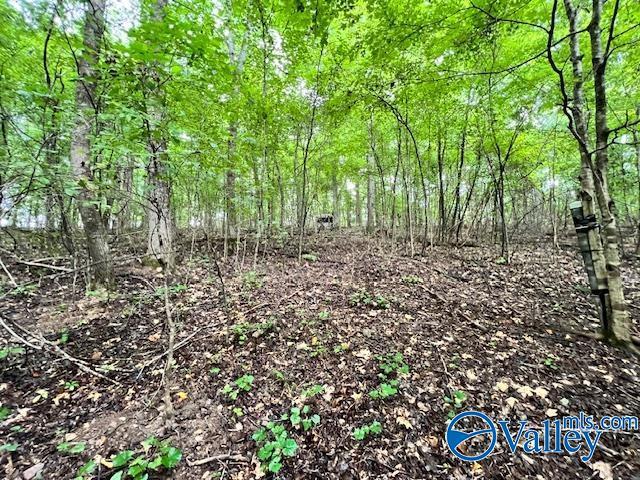 3.78 Acres Flicker Way