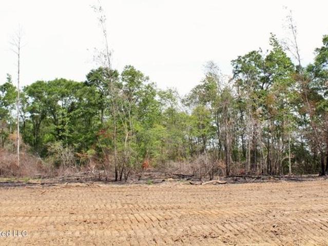 3 78AC Cottonwood Dr Lot 8, Lucedale, MS 39452