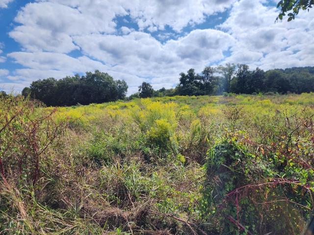 3.94ac Anderson Rd