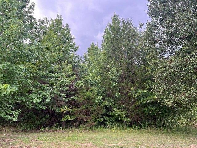 3.95 Ac Salishan Dr, Halifax, VA 24558