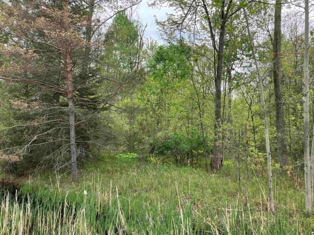 3.96 Acres W Isabella Road