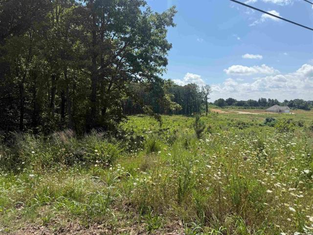 3.98 acres Mockingbird Lane