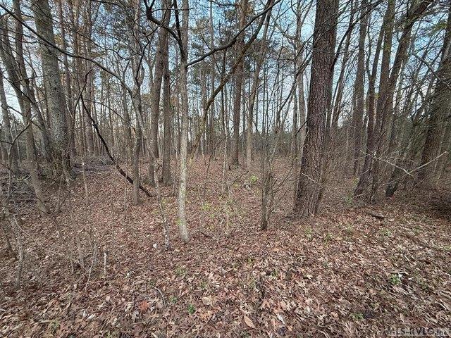 3 93AC Christanna Hwy Lots 6 & 7, Lawrenceville, VA 23868