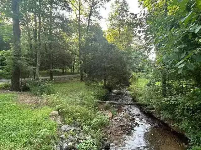 3.9 ACRES COUNTY ROAD 212, COLLINSVILLE, AL 35961