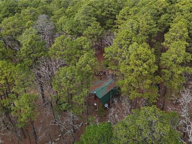 3C Martin Kiamichi Wilderness Rd, Moyers, OK 74557