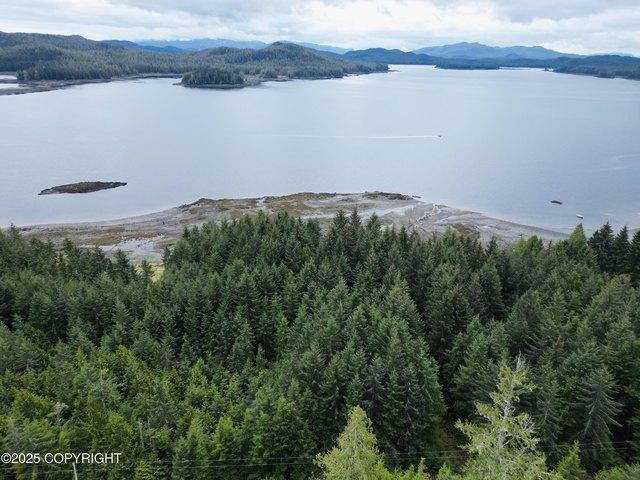 3A 3B N Entrance Subdivision, Whale Pass, AK 99950
