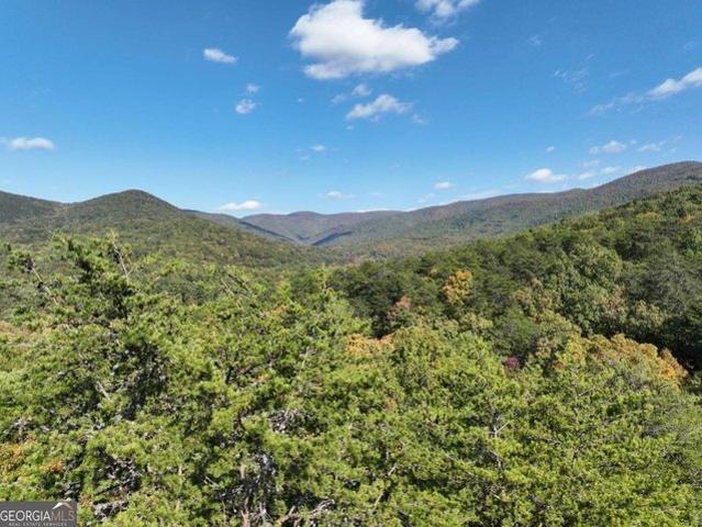 3A Turniptown Rd, Ellijay, GA 30536