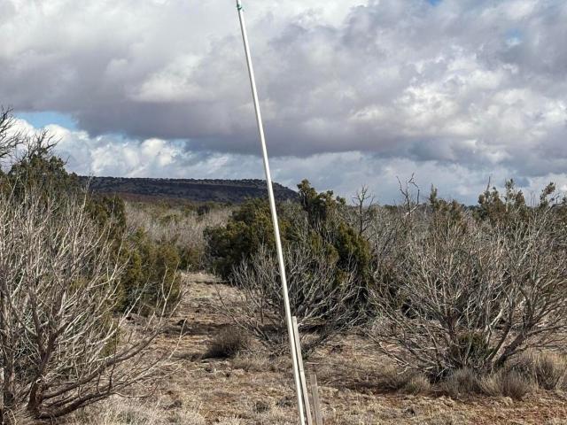 3A N8716