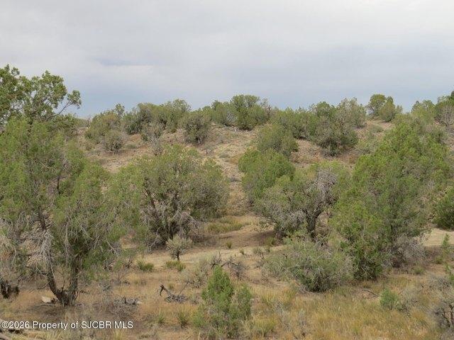 3A Road 2950, Aztec, NM 87410