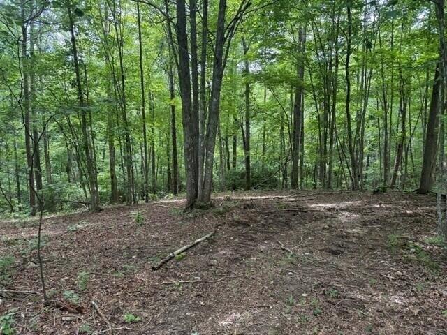 3B S Pittsburg Mountain Rd Lot 3B, South Pittsburg, TN 37380
