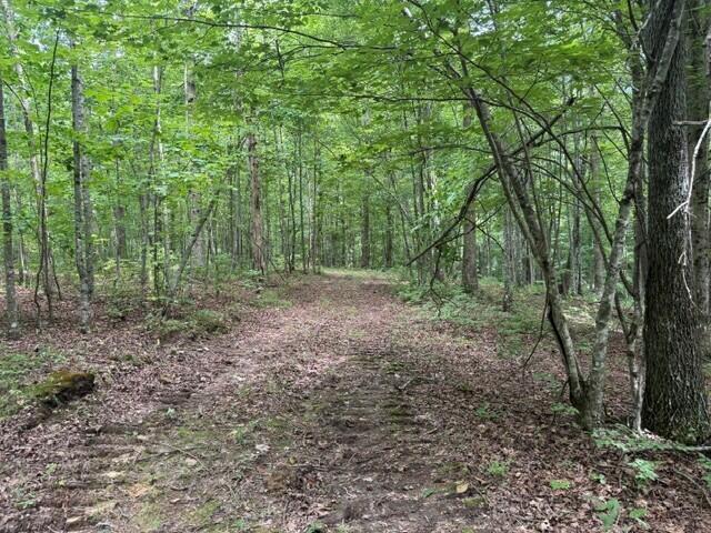 3b S Pittsburg Mountain Road