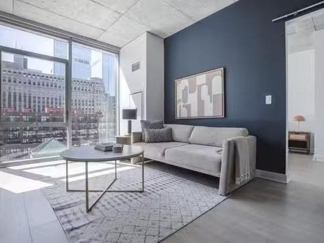 3Eleven, 311 West Illinois St, River North 1 Bedroom 1 Bath