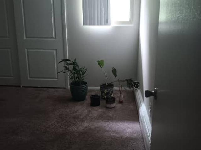 3rd floor apartment in warwick