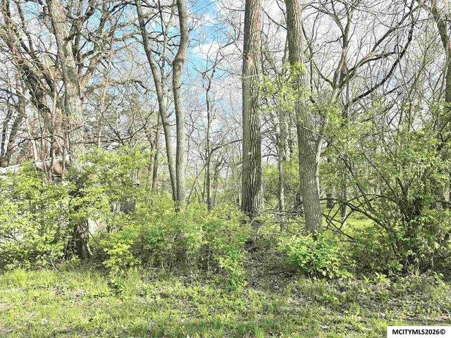 3rd St SE Lot 9 10, Rockford, IA 50468