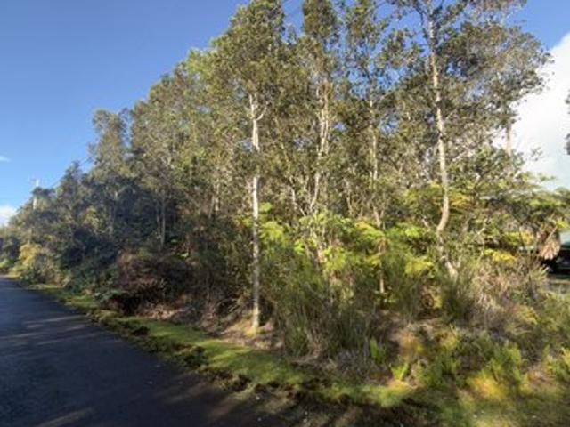 3rd St, Volcano, HI 96785