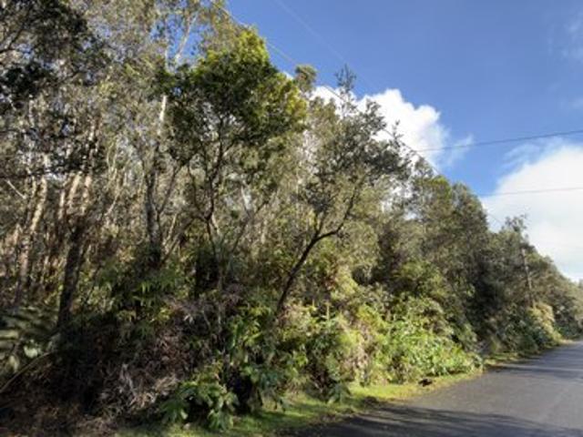 3rd St, Volcano, HI 96785