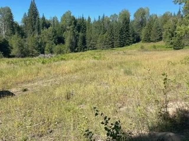 3XX N Leclerc Rd Lot 13, Ione, WA 99139
