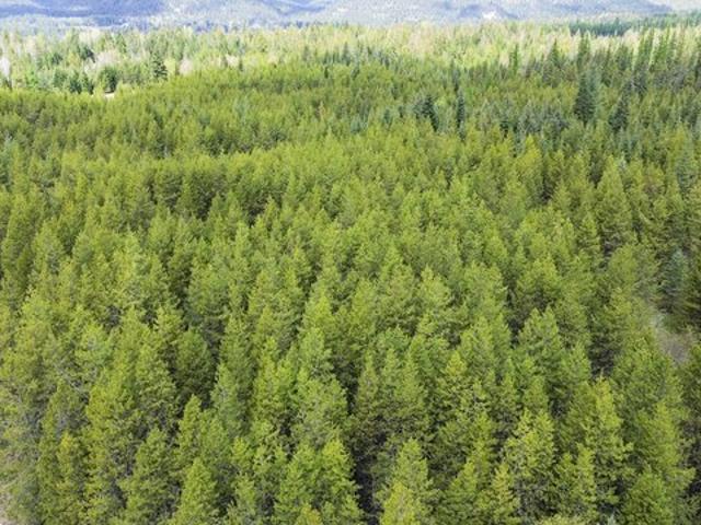 3XX N Leclerc Rd Lot 10, Ione, WA 99139