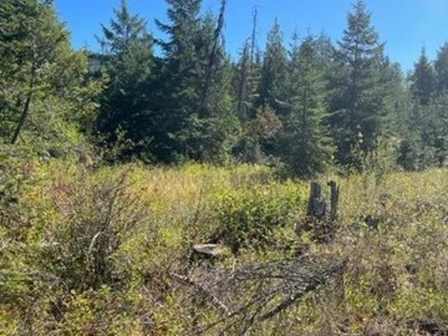 3XX N Leclerc Rd Lot 12, Ione, WA 99139