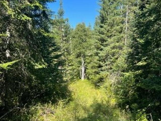 3XX N Leclerc Rd Lot 14, Ione, WA 99139