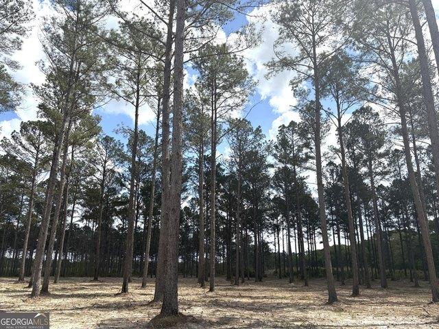 T1 DC Hardie Rd, Gordon, GA 31031