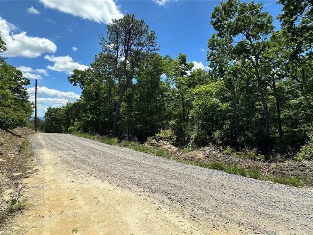 T23 Widow Mountain Drive