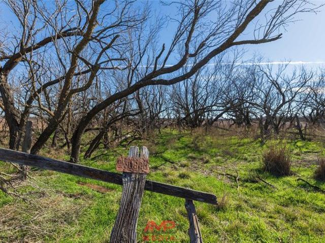 T B D County Road 260, Avoca, TX 79503