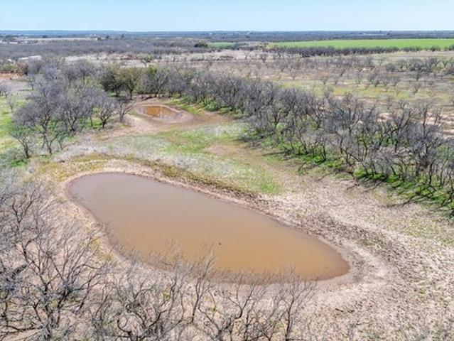 T B D Fm 614, Ovalo, TX 79541