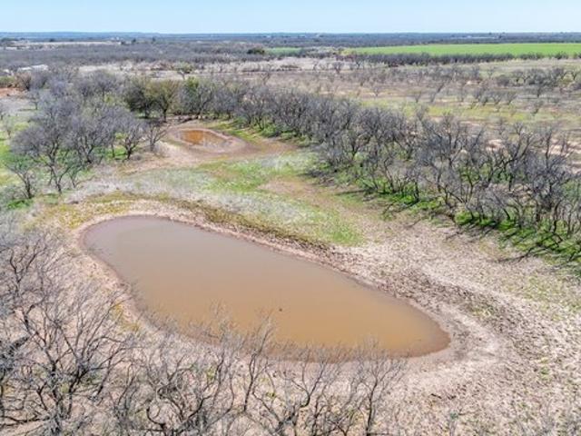 T B D Fm 614, Ovalo, TX 79541