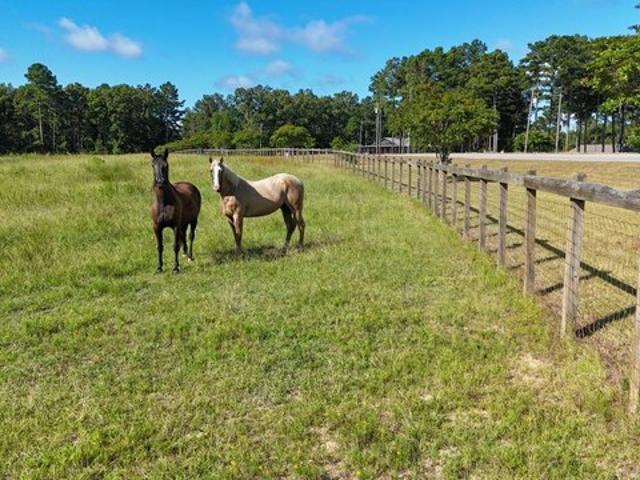T B D Highway 850, Grayson, LA 71435